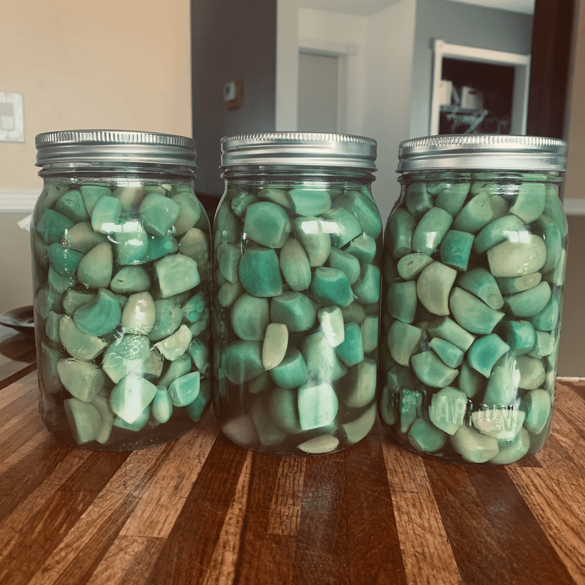 The Mystery Unveiled: Why Garlic Turns Blue When Lacto-Fermenting – re·dact